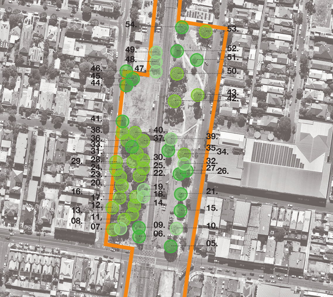 Urban Vegetation Assessment – Upfield Corridor Coalition