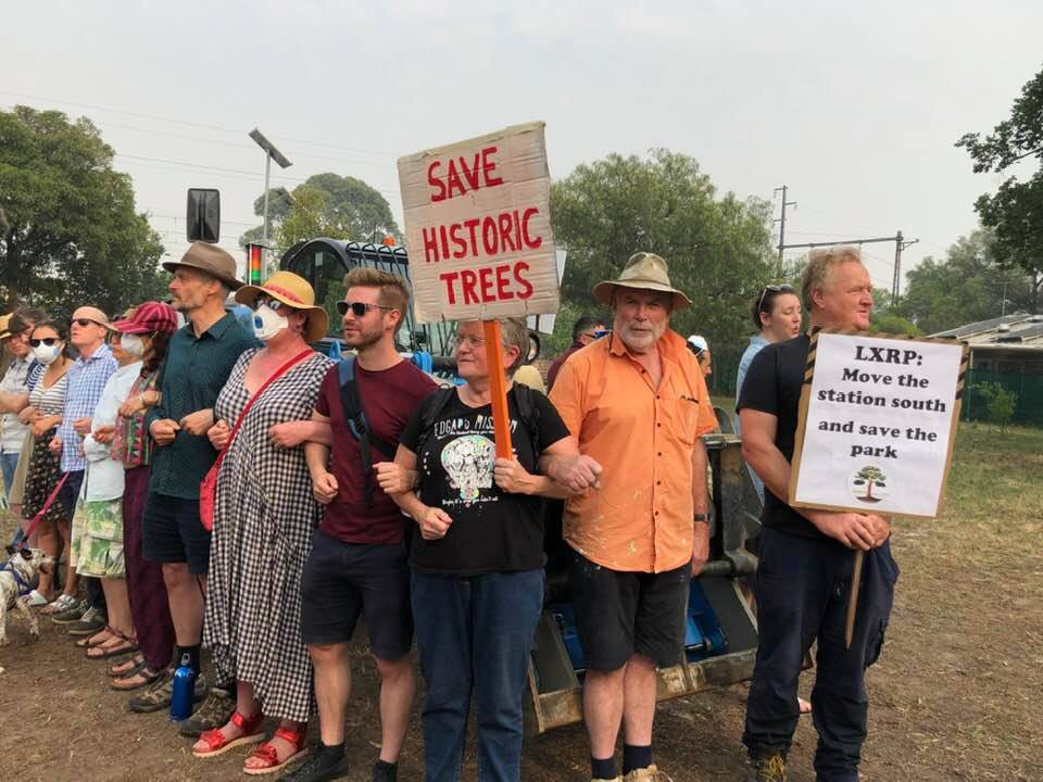 Fencing being erected a prelude to 100 year old trees to be axed ...